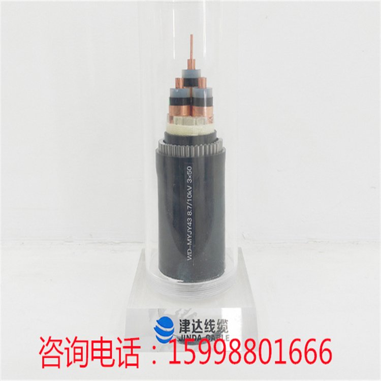 YJV62 ZC-YJV62 1*240 津达线缆 铜芯非磁性钢带铠装阻燃电缆 支持定制 产品关键词:非磁性钢带铠装电缆;yjv电缆62