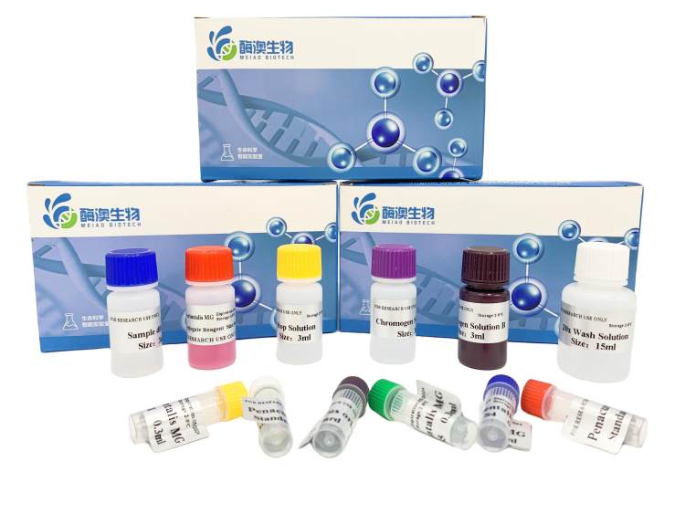 人绿色荧光蛋白(GFP) elisa试剂盒 全国顺丰包邮 - 百度爱采购