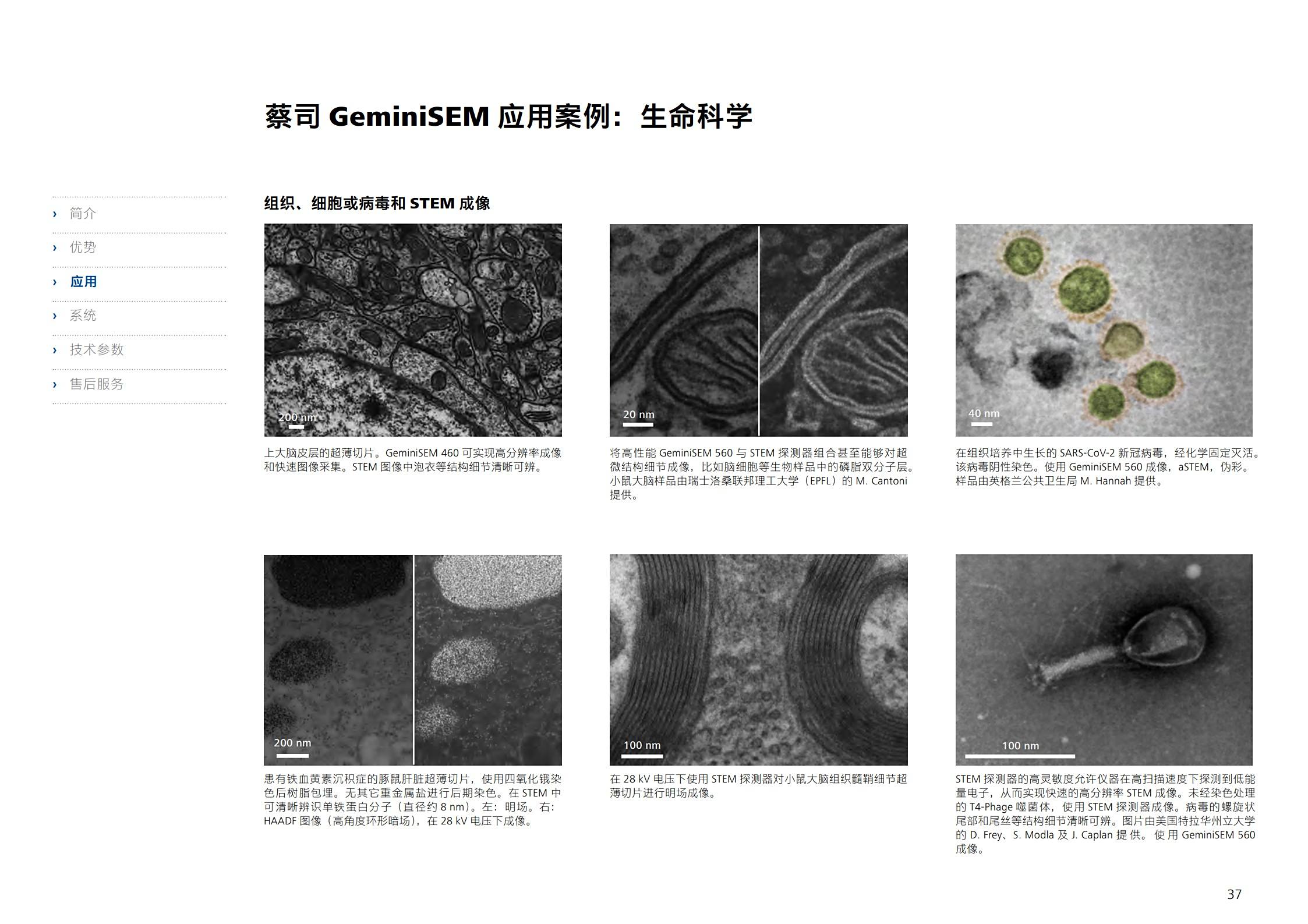 德国蔡司ZEISS 扫描电镜 SEM 高分辨率场发射 GeminiSEM 560 - 百度爱采购