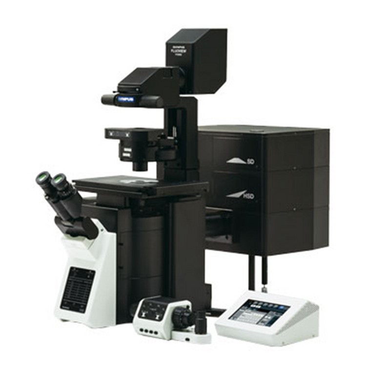 日本Olympus 激光扫描共聚焦显微镜FV3000 活细胞成像 产品关键词:日本奥林巴斯fv3000;奥林巴斯3000;扫描共聚焦fv3000;fv3000激光;fv3000共聚焦生产厂家 ...