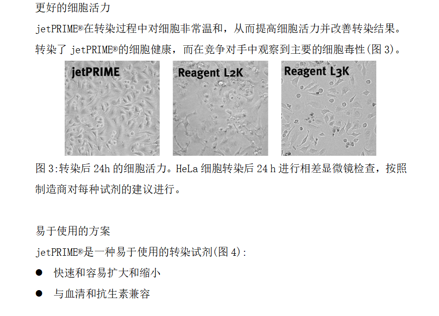 polyplus转染试剂 jetPRIME® 多功能DNA/siRNA transfection reagent 产品关键词:pl转染试剂;polyplus转染试剂换液;poly转染试剂 ...