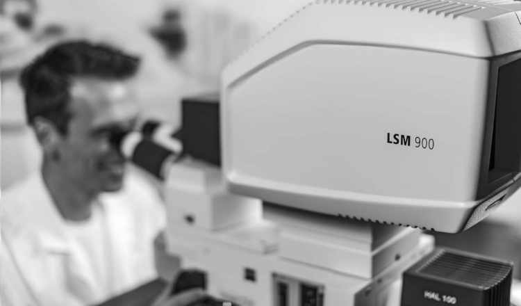 德国蔡司Zeiss LSM 900 材料检测共聚焦显微镜 3D成像 产品关键词:品牌lsm;900共聚焦;lsm成像;蔡司lsm;蔡司 ...