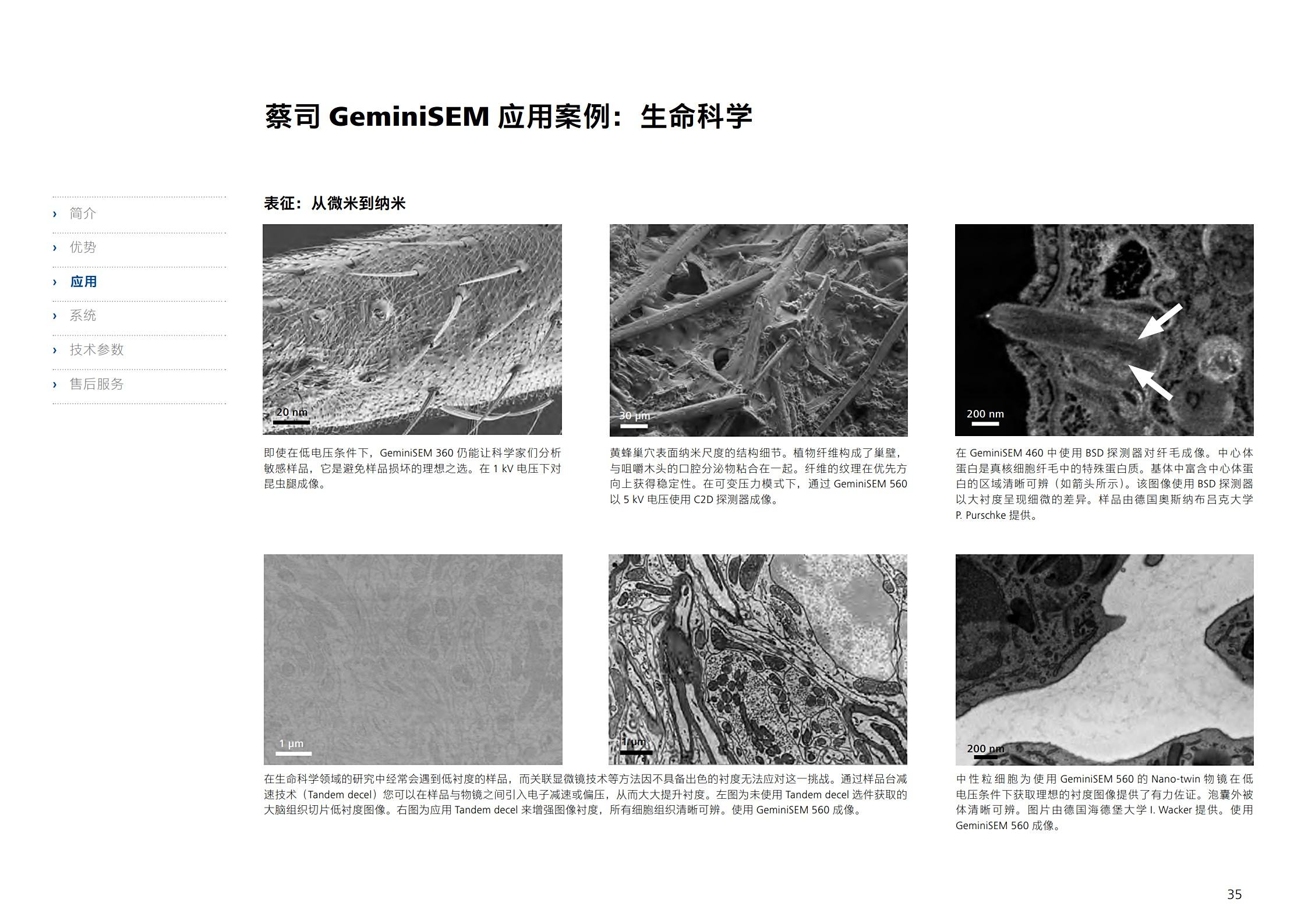 德国蔡司ZEISS 扫描电镜 SEM 高分辨率场发射 GeminiSEM 560 - 百度爱采购