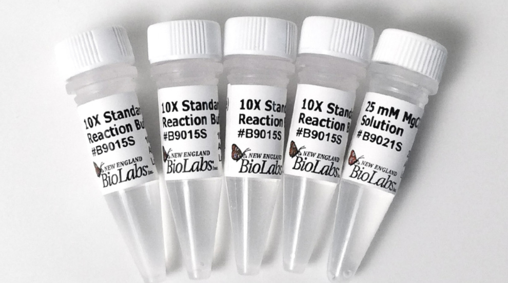 NEB rCutSmart™ 反应缓冲液 Buffer 5 ml 10 X 内切酶 产品关键词:10×内切酶缓冲液;rcutsmart™缓冲液 ...