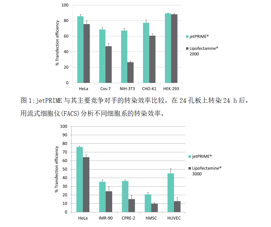 polyplus转染试剂 jetPRIME® 多功能DNA/siRNA transfection reagent 产品关键词:pl转染试剂 ...