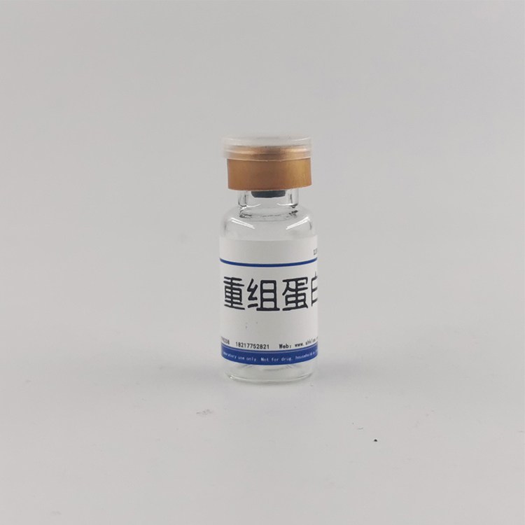 TOP3A； 拓扑异构酶Ⅲ(TOP3)重组蛋白 种属其全 产品关键词:拓扑重组