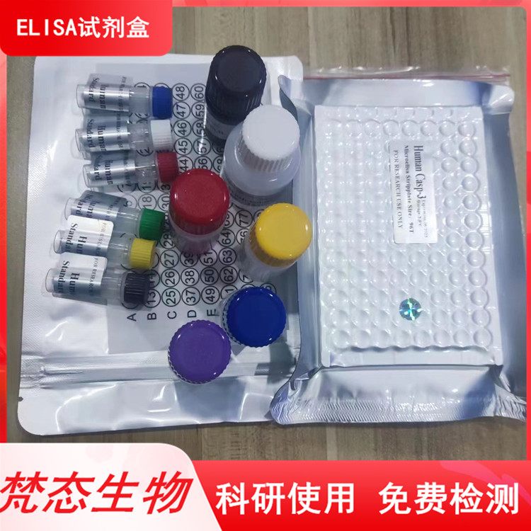 人Flag标签(Flag-tag)elisa试剂盒操作检测质量保证 产品关键词:flag检测Elisa试剂盒