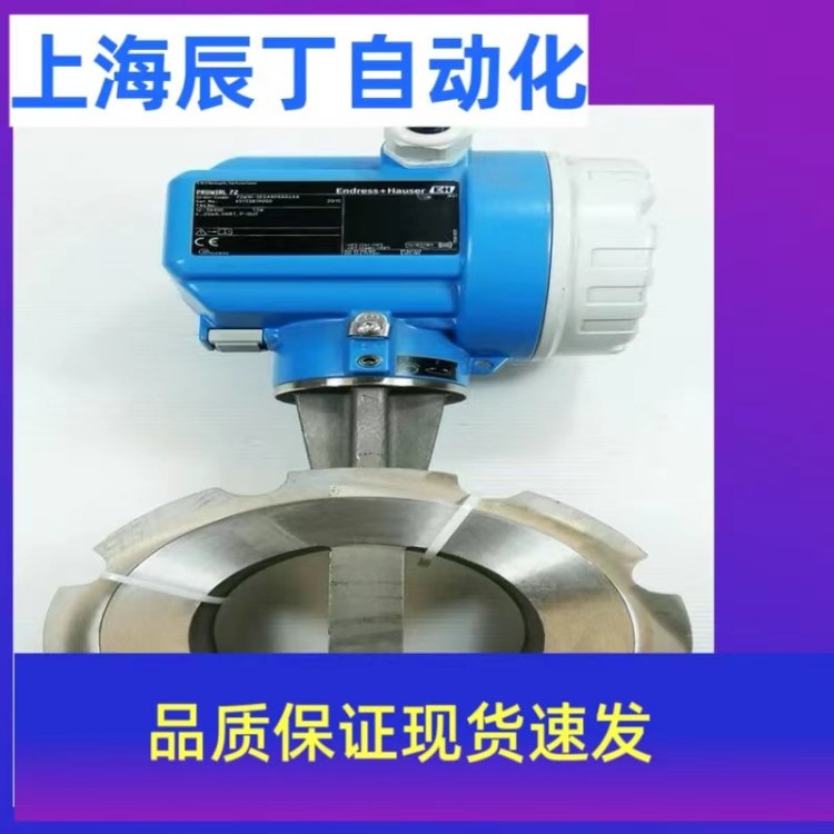 E+HProline Promag P 300 电磁流量计 耐高温流量计