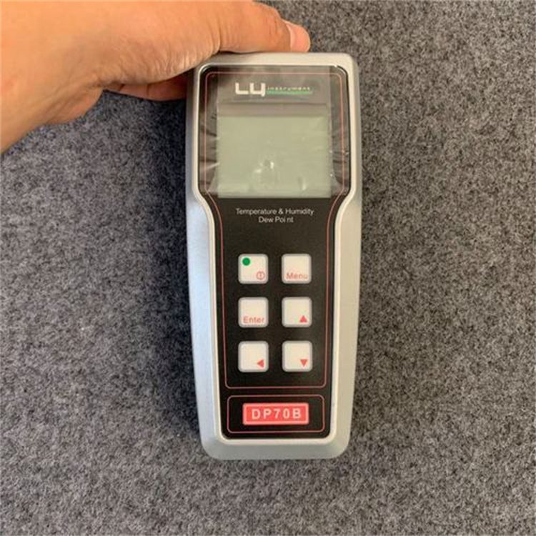 DP70B便携式露点仪 温度、湿度、露点、PPM测量 粮食仓储露点检测 产品关键词:ppm露点仪