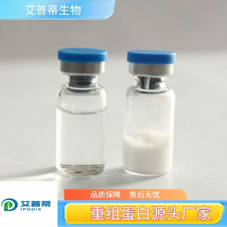 CYP11A1重组蛋白；细胞色素P450家族成员11A1 高活性，可定制 - 百度爱采购