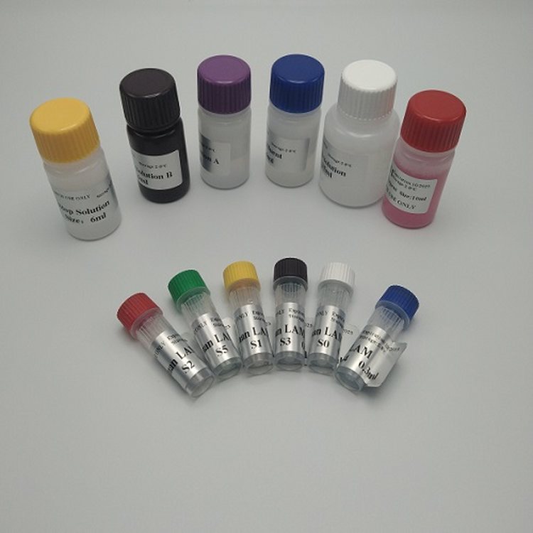 植物阿魏酸-5-羟基化酶(F5H)ELISA试剂盒 免费代测