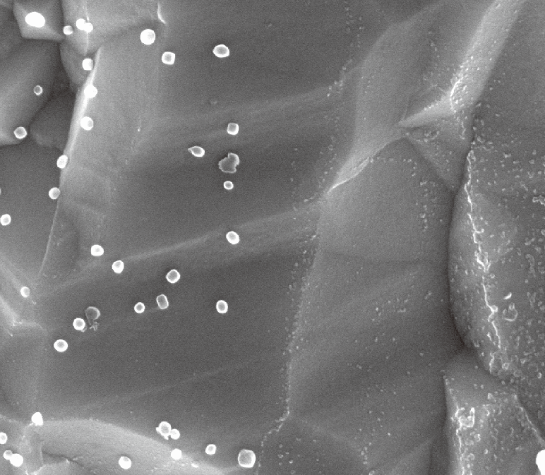 Deben 扫描电镜原位拉伸台-MICROTEST系列 测试制样 产品关键词:deben拉伸台
