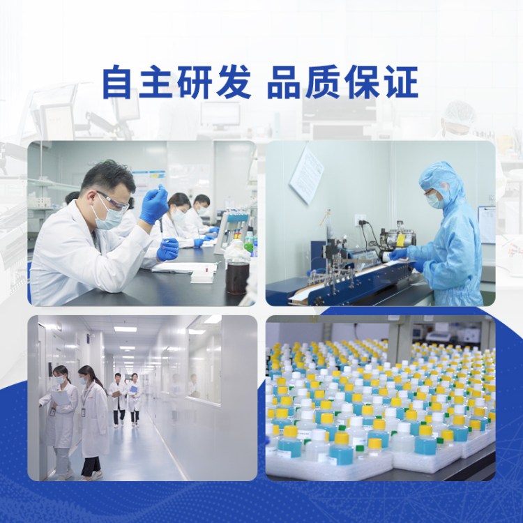 芬德生物 禽流感h7亚型抗原检测卡 Avi H7 鸡鸭鹅禽类通用检测试纸