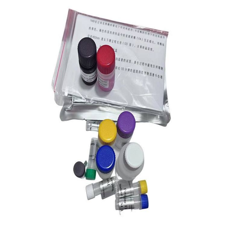 人cAMP反应元件结合蛋白(CREB)elisa试剂盒特异性强