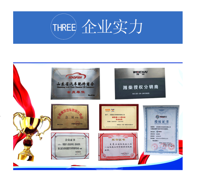 WG9925820031 电动举升泵 豪沃A7 陕汽欧曼 潍柴发动机配件 外贸