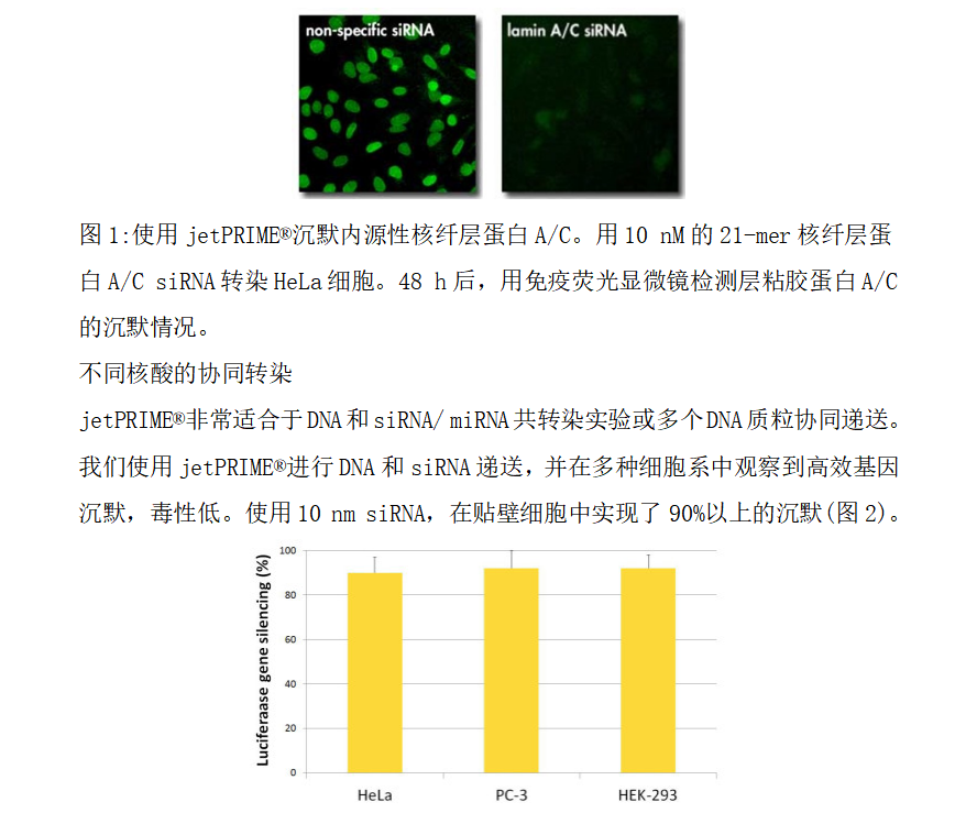 polyplus转染试剂 jetPRIME® 多功能DNA/siRNA transfection reagent 产品关键词:pl转染试剂;polyplus转染试剂换液;poly转染试剂 ...