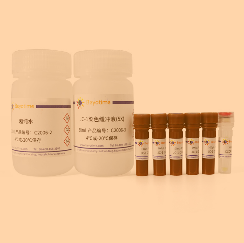 碧云天 线粒体膜电位检测试剂盒jc 1 荧光探针 产品关键词线粒体荧光探针碧云天碧云天试剂盒线粒体线粒体膜电位碧云天试剂盒线粒体