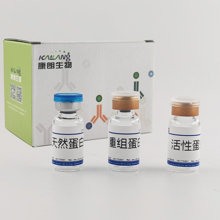 PTPR-G；蛋白酪氨酸磷酸酶受体G(PTPRG)重组蛋白 种属其全 - 百度爱采购