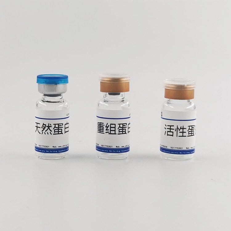 SLC5A1；钠/葡萄糖协同转运蛋白1(SGLT1)重组蛋白 种属其全 产品关键词:slc5a1糖;slc5a1转运