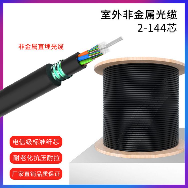非金属阻燃光缆GYFTZY铠装GYFTY单模8芯12芯96芯24芯48芯防鼠光