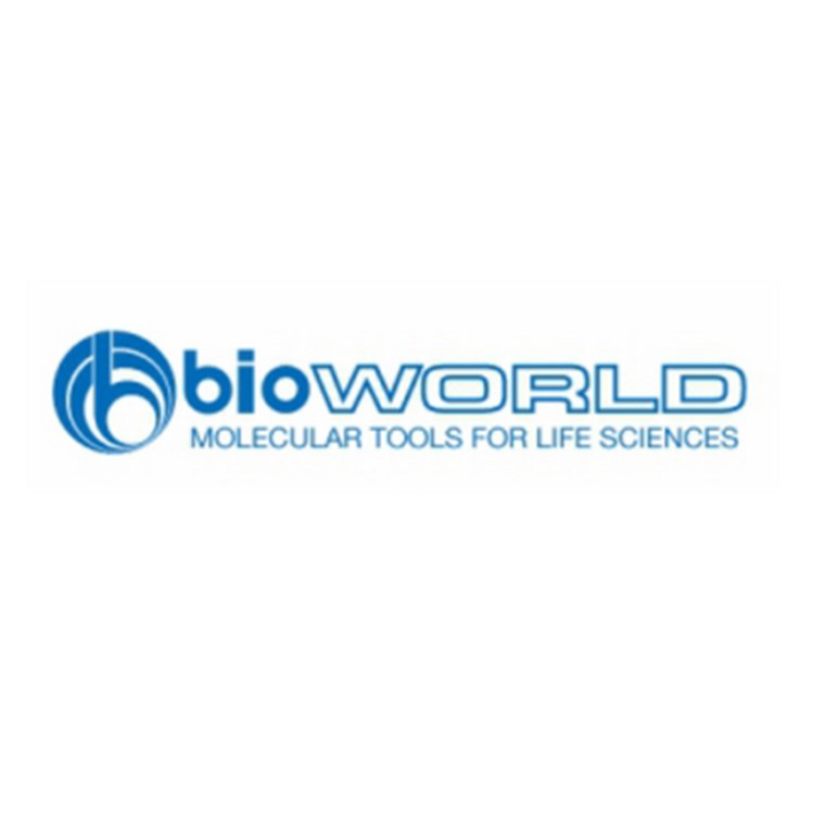 BioWorld品牌包含高纯度单/多克隆抗体 多肽 蛋白质和其他相关研究产品