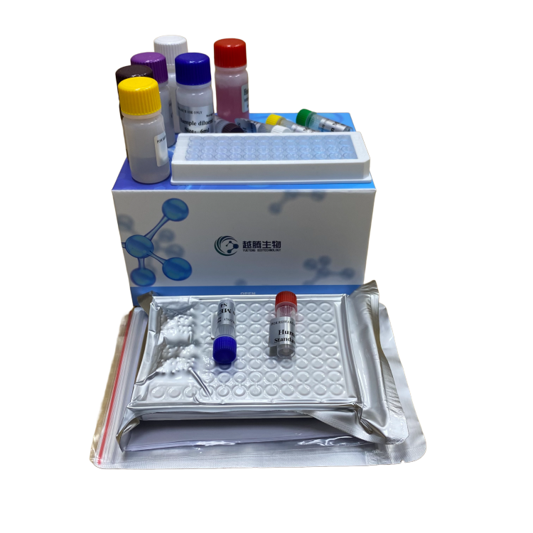 人RAS癌基因家族(RAP1A)elisa检测试剂盒96T免费代测 产品关键词:ras检测