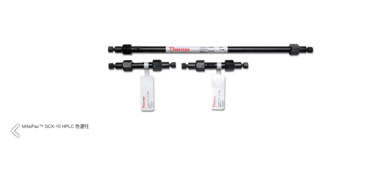 97105-012101赛默飞世尔液相色谱柱Syncronis HPLC 保护柱C18 - 百度爱采购