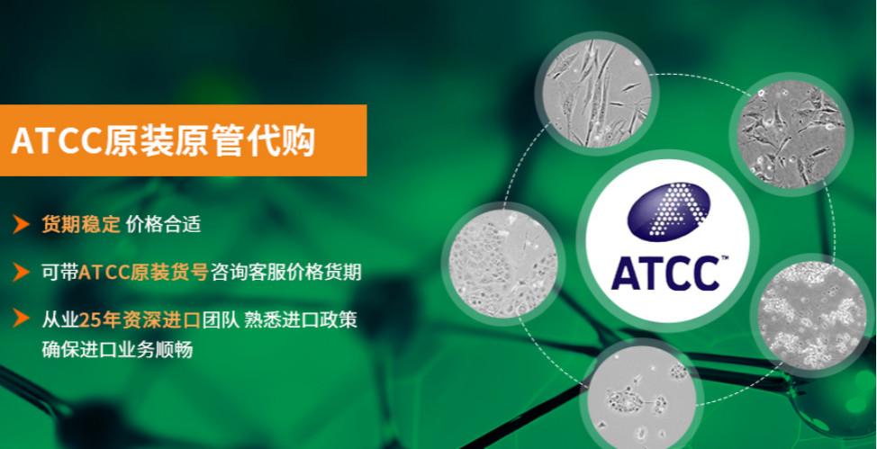 雅吉生物 C166小鼠血管内皮细胞 STR鉴定正确 上皮贴壁生长 - 百度爱采购