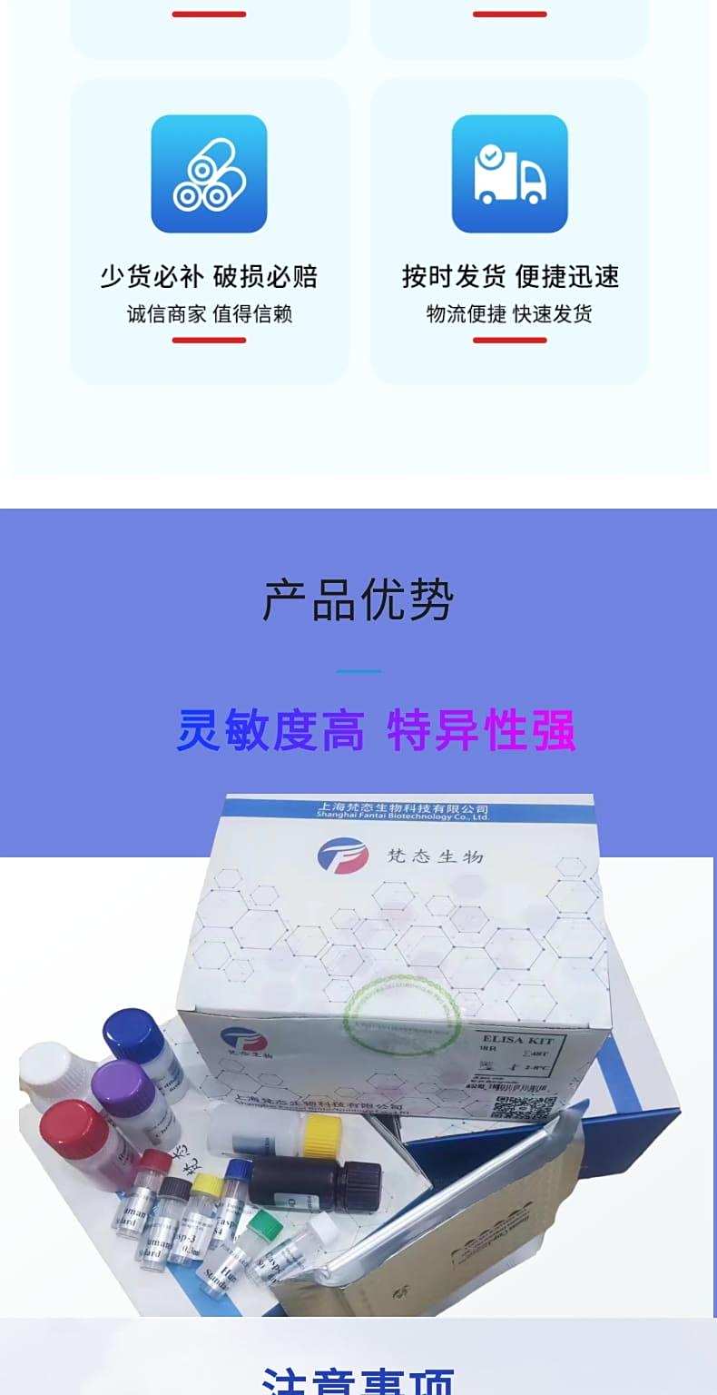 人p62(p62)elisa试剂盒