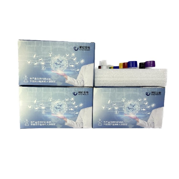 NADP苹果酸酶（NADP-ME）测试盒 (微量法/分光光度法）