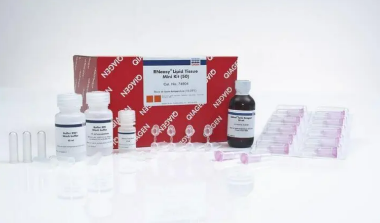 QIAGEN 凝胶提取试剂盒 QIAquick Gel Extraction Kit 产品关键词:qiaquick®胶提取试剂盒 ...