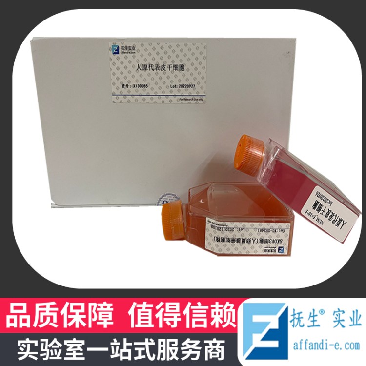 L5178Y TK+/- clone (3.7.2C)小鼠淋巴瘤细胞说明书抚生实业科研专用