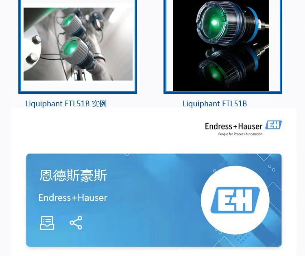 德国E+H恩德斯豪斯FTL51B音叉液位限位开关 电容式限位检测 产品关键词:音叉液位开关ftl51b