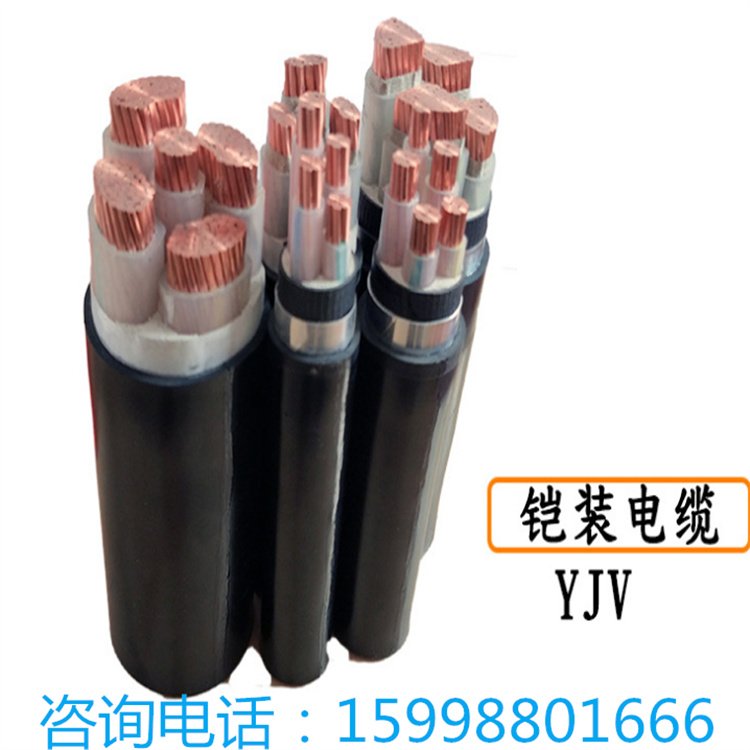 ZC-YJV62-8.7/15 YJV62-8.7/15 1*120 津达线缆 非磁性铠装电缆 产品关键词:非磁性铠装;yjv62的价格;非磁性电缆铠装;7/15电缆