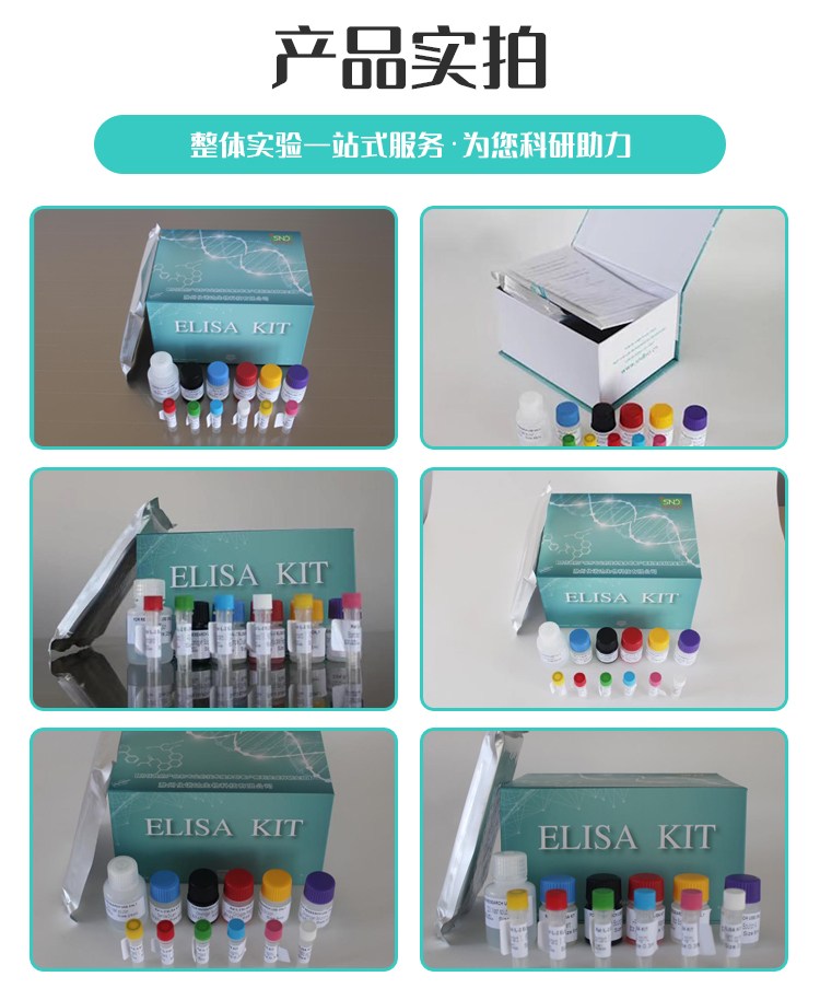 小鼠MPO-DNA复合物ELISA检测试剂盒 稳定高效 特异性强