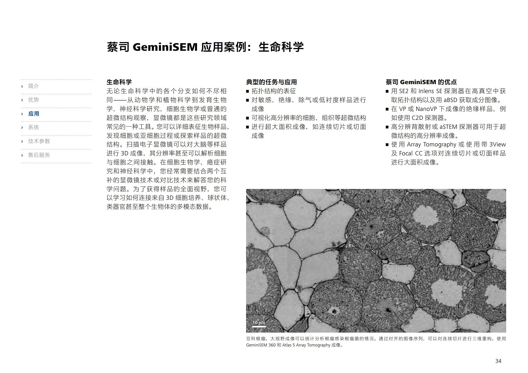德国蔡司ZEISS 扫描电镜 SEM 高分辨率场发射 GeminiSEM 560 - 百度爱采购