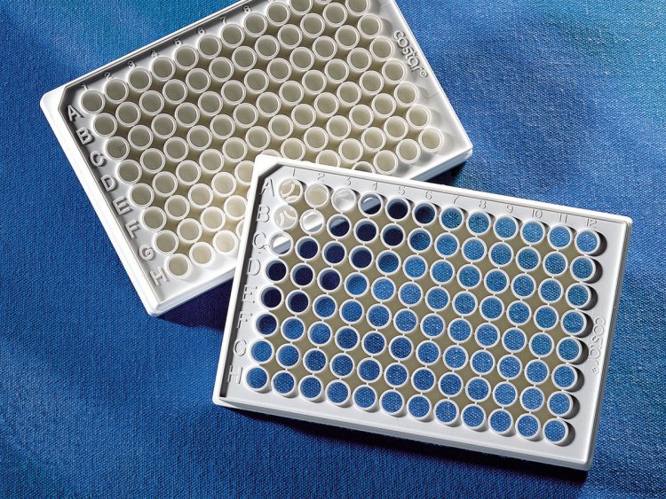 Corning康宁 3603 96孔透明平底黑色聚苯乙烯微孔板 无菌 - 百度爱采购