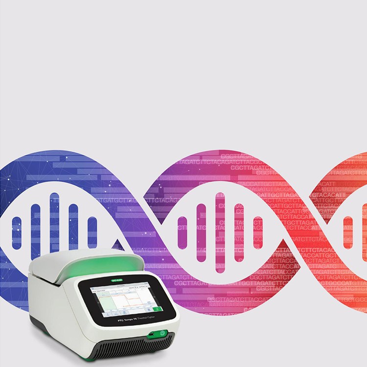 美国伯乐PTC Tempo Thermal Cycler 96梯度pcr 货号12015382
