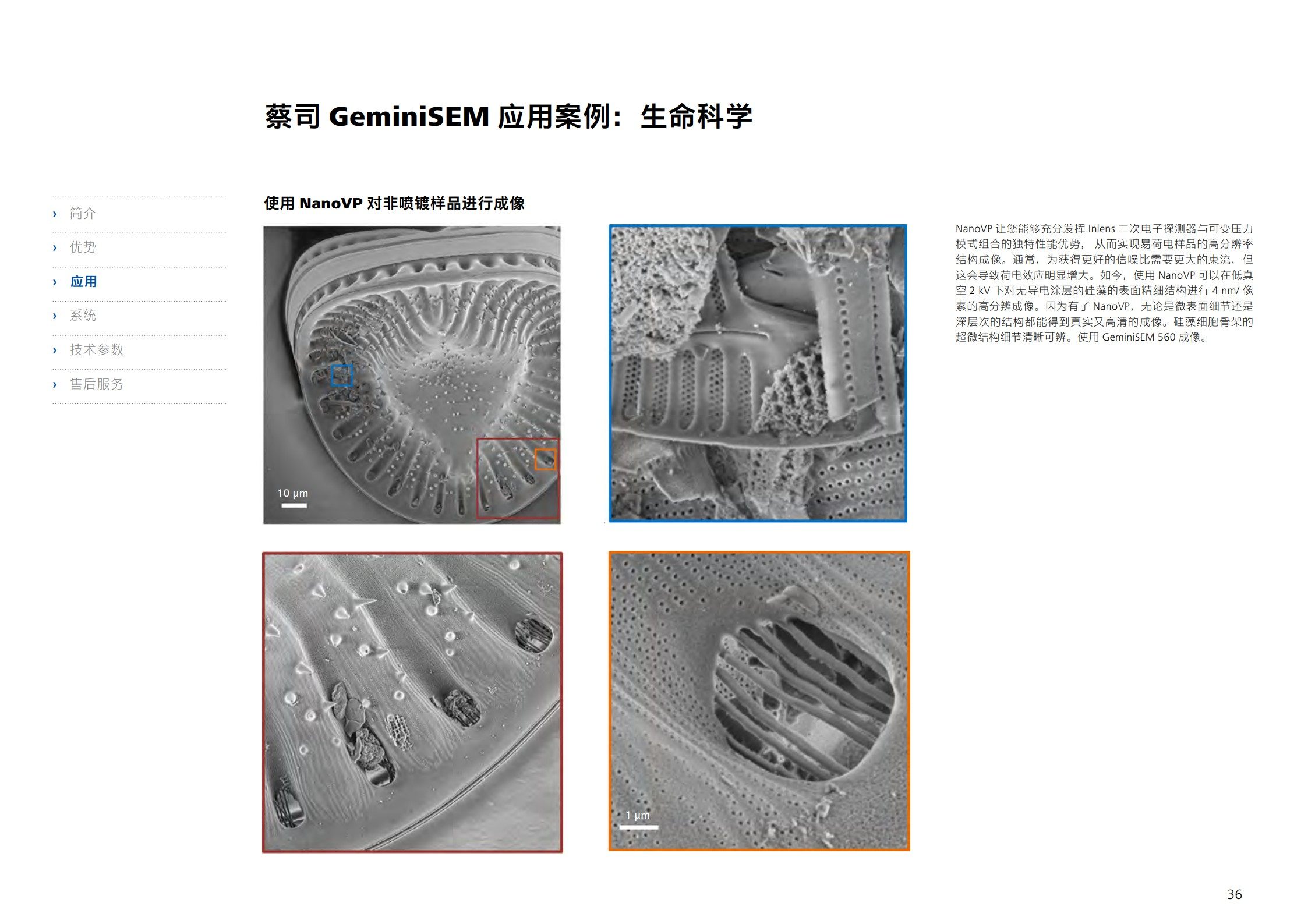 德国蔡司ZEISS 扫描电镜 SEM 高分辨率场发射 GeminiSEM 560 - 百度爱采购