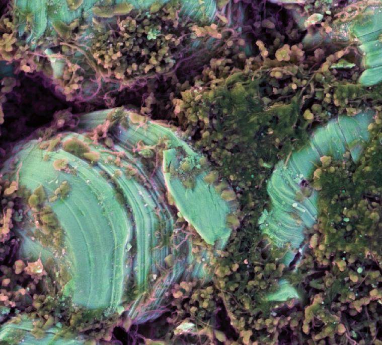 Deben 扫描电镜原位拉伸台-MICROTEST系列 测试制样 产品关键词:deben拉伸台