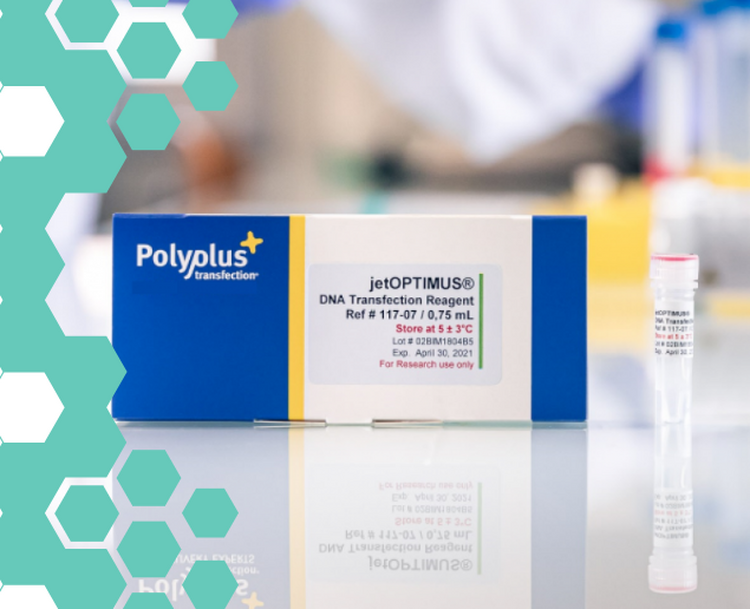 polyplus转染试剂 jetPRIME® 多功能DNA/siRNA transfection reagent 产品关键词:pl转染试剂 ...