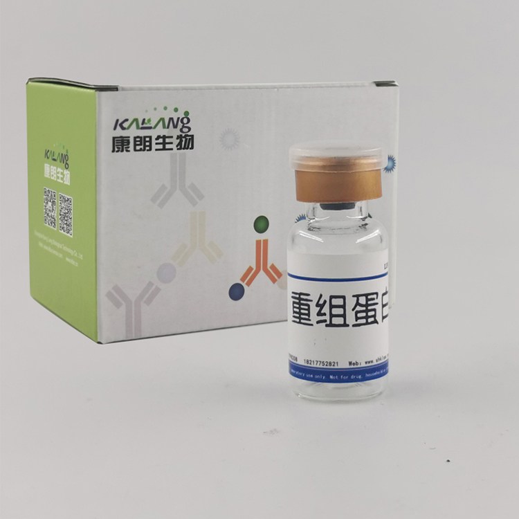 HI95；Sestrin 2蛋白(SESN2)重组蛋白 种属其全 产品关键词:重组ses2
