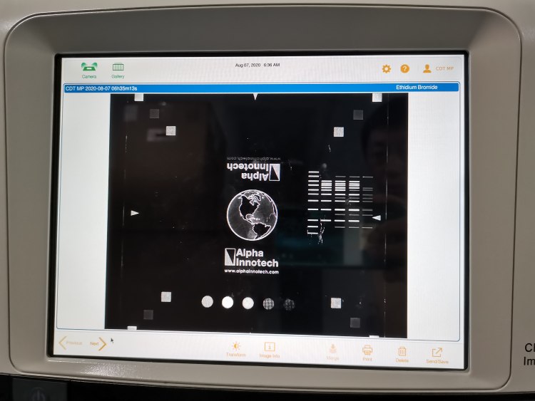 Bio-Rad 伯乐 NGC Quest 10 Plus下一代中高压蛋白纯化系统 产品关键词:中高压蛋白纯化系统;ngcquest™10plus货号;ngcquest10生产厂家;一代纯化 ...