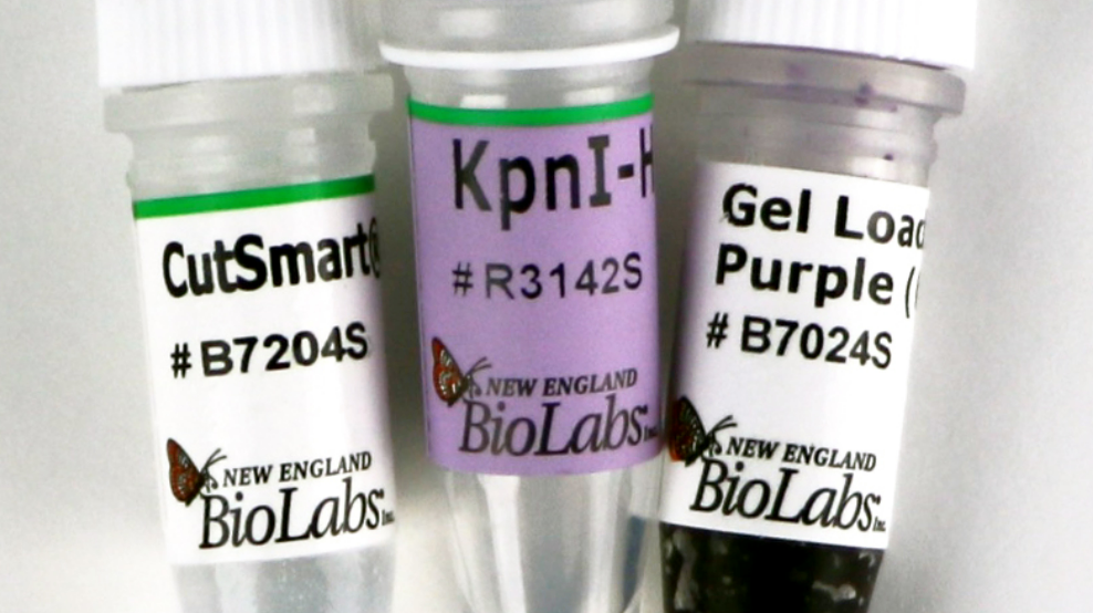 NEB rCutSmart™ 反应缓冲液 Buffer 5 ml 10 X 内切酶 产品关键词:10×内切酶缓冲液;rcutsmart™缓冲液 ...