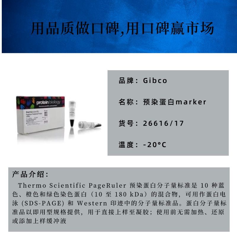 原装正品 赛默飞 预染蛋白marker （10-180KD） 货号：26616-2 x 250ul 产品关键词:26616价格