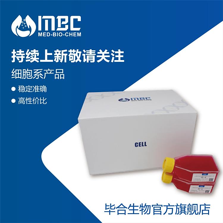兔脾源性内皮祖细胞spleen Derived Endothelial Progenitorcells