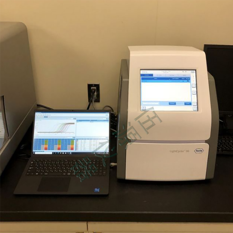 美国进口 Roche 罗氏 LightCycler 96 荧光定量PCR仪 梯度核酸扩增仪 - 百度爱采购