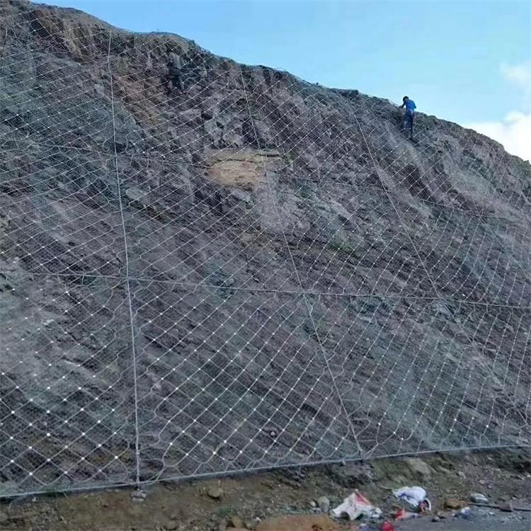 PPS-075主被动防护网环形边坡网覆盖式引导网栈道落石安全拦截网