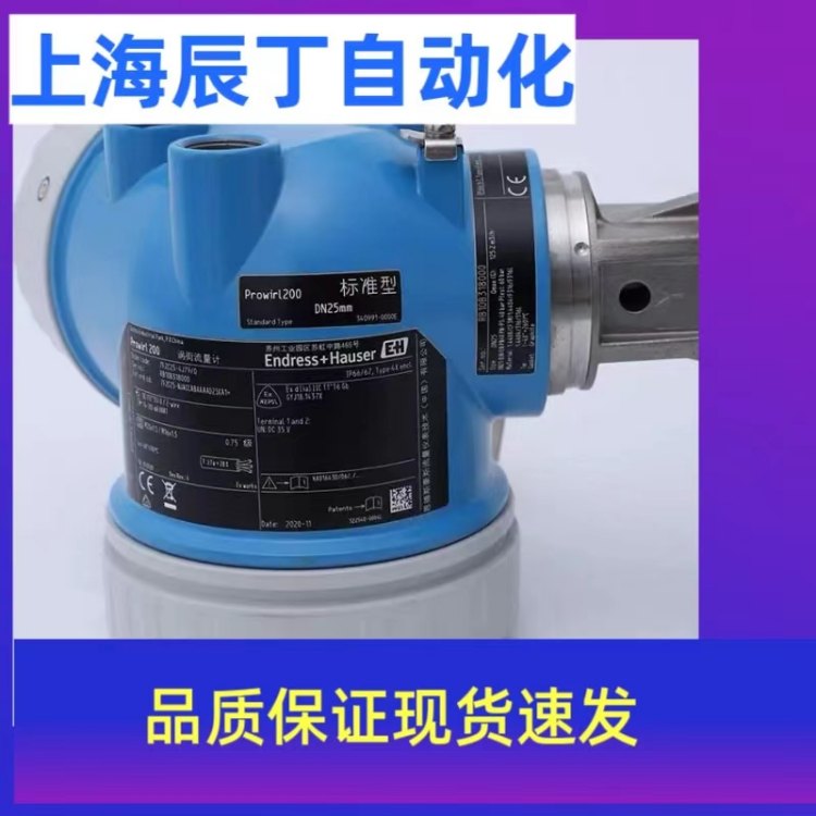 E+HProline Promag P 300 电磁流量计 耐高温流量计