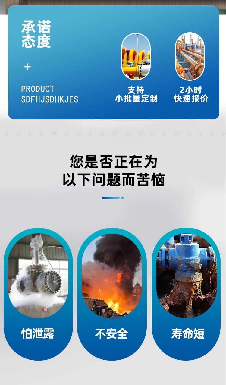 升降式止回阀 H41H-40C DN20 材质A105 启闭快捷 欧拉姆品牌